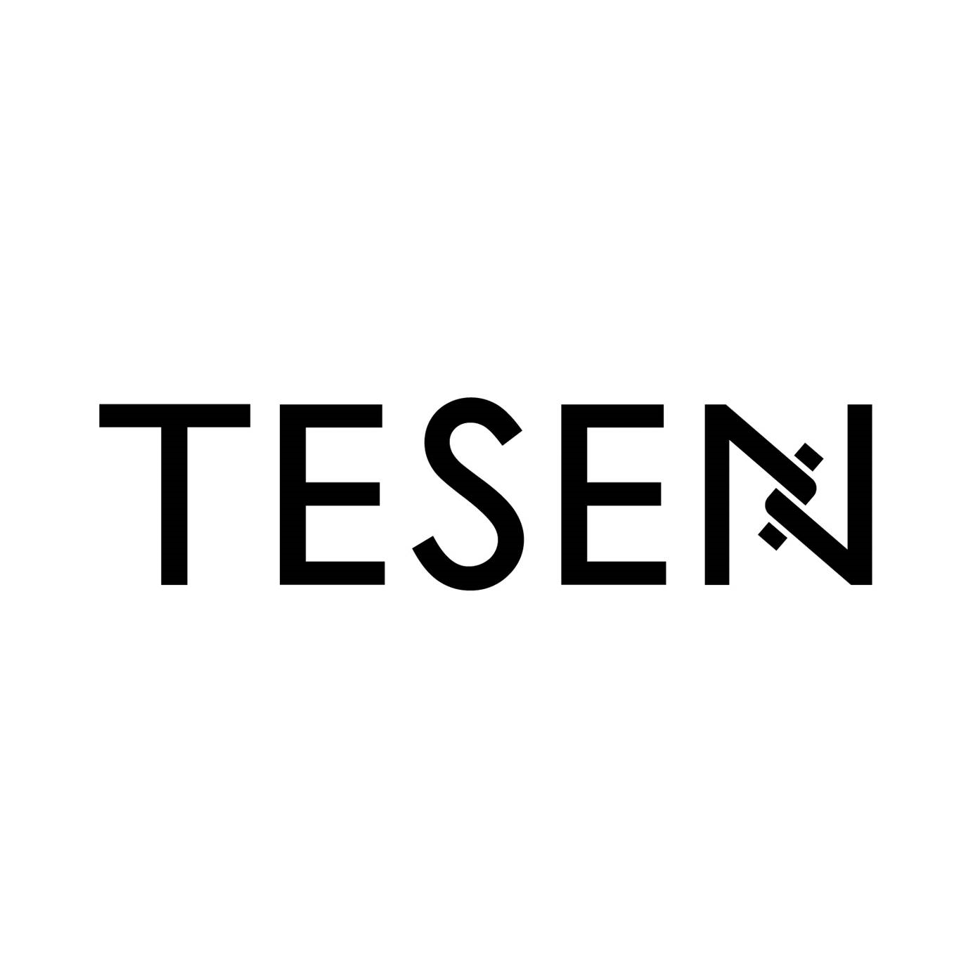 ”TESEN”を商標登録「不動産の価値は、人の中にある」 ｜株式会社日本レイズ